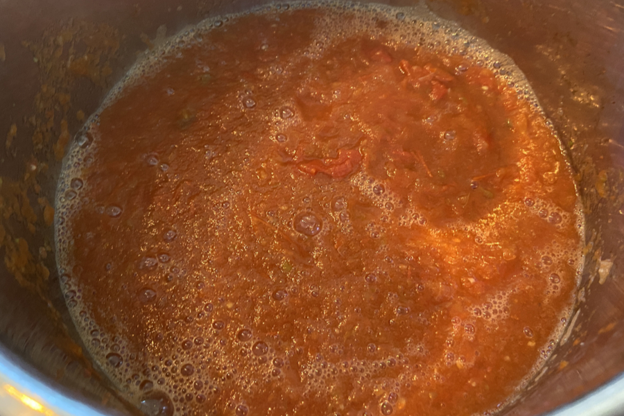 pureed salsa - Make Your Meals