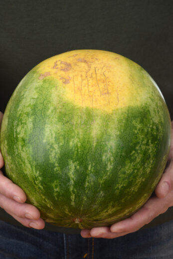 Watermelon Salad - A Light & Refreshing Picnic Side Dish Recipe